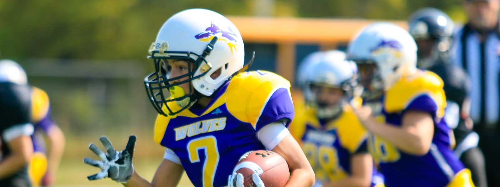 Bay Area Youth Football League > Home